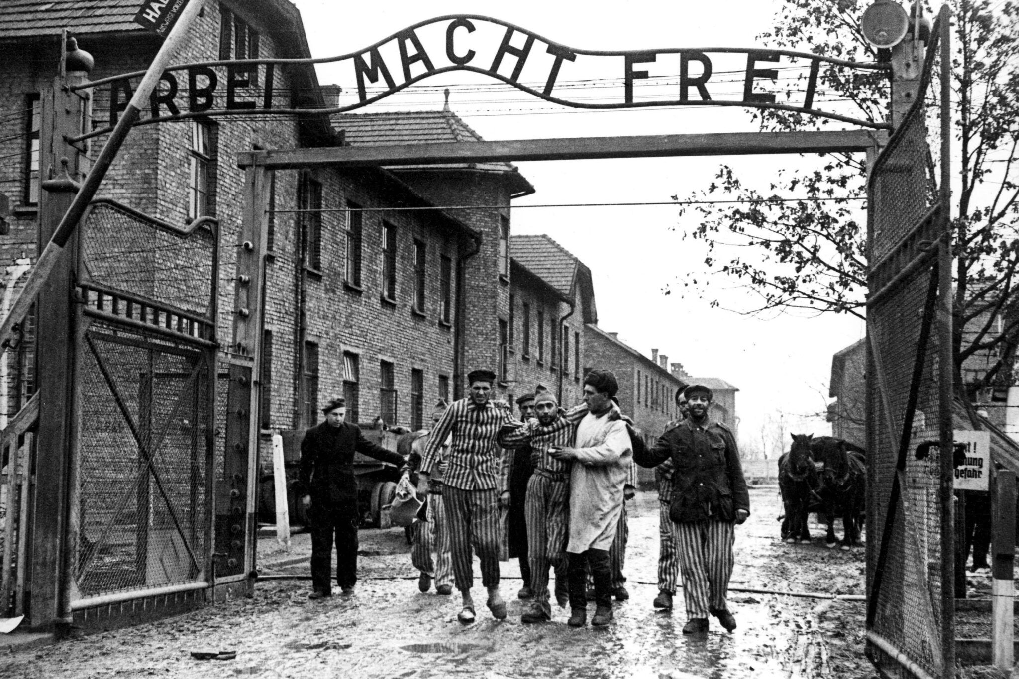 The Final Solution - World War 2 Snapshots
